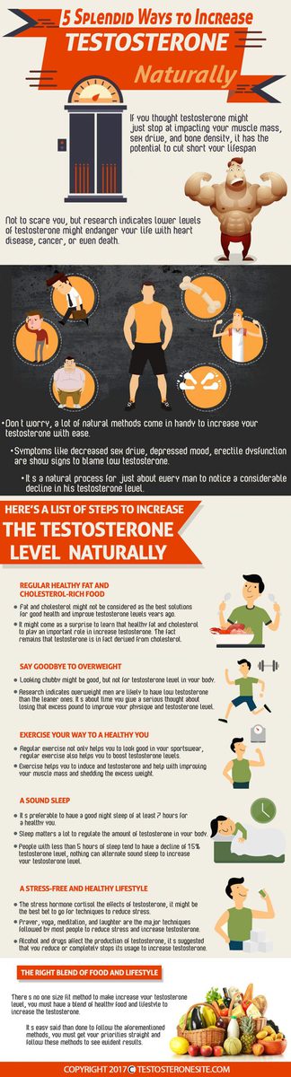 Increasing Your Testosterone Naturally Was Never So Easy